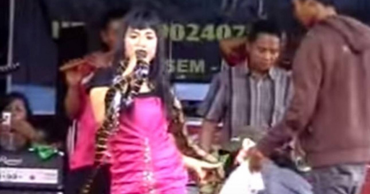 Η δραματική ιστορία της τραγουδίστριας που έχασε τη ζωή της από δάγκωμα ...