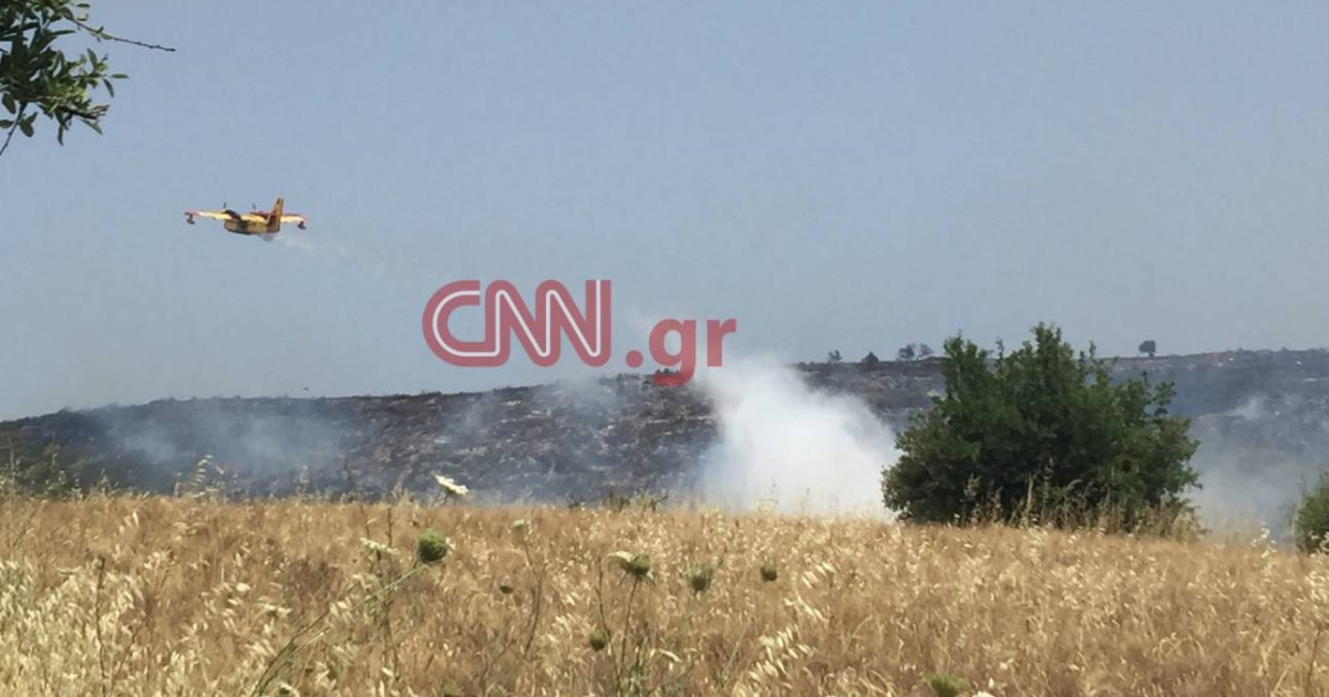 Πυρκαγιά στον Βαρνάβα Αττικής - CNN.gr