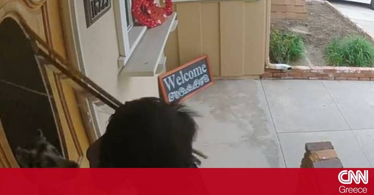 Σκύλος σπάει το παράθυρο της εξώπορτας για να προφυλάξει το σπίτι από ...