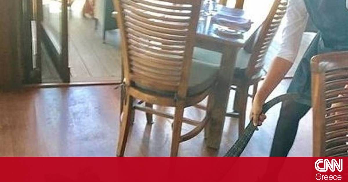 Ατρόμητη σερβιτόρα πετάει έξω από το εστιατόριο έναν αλιγάτορα (Vid ...