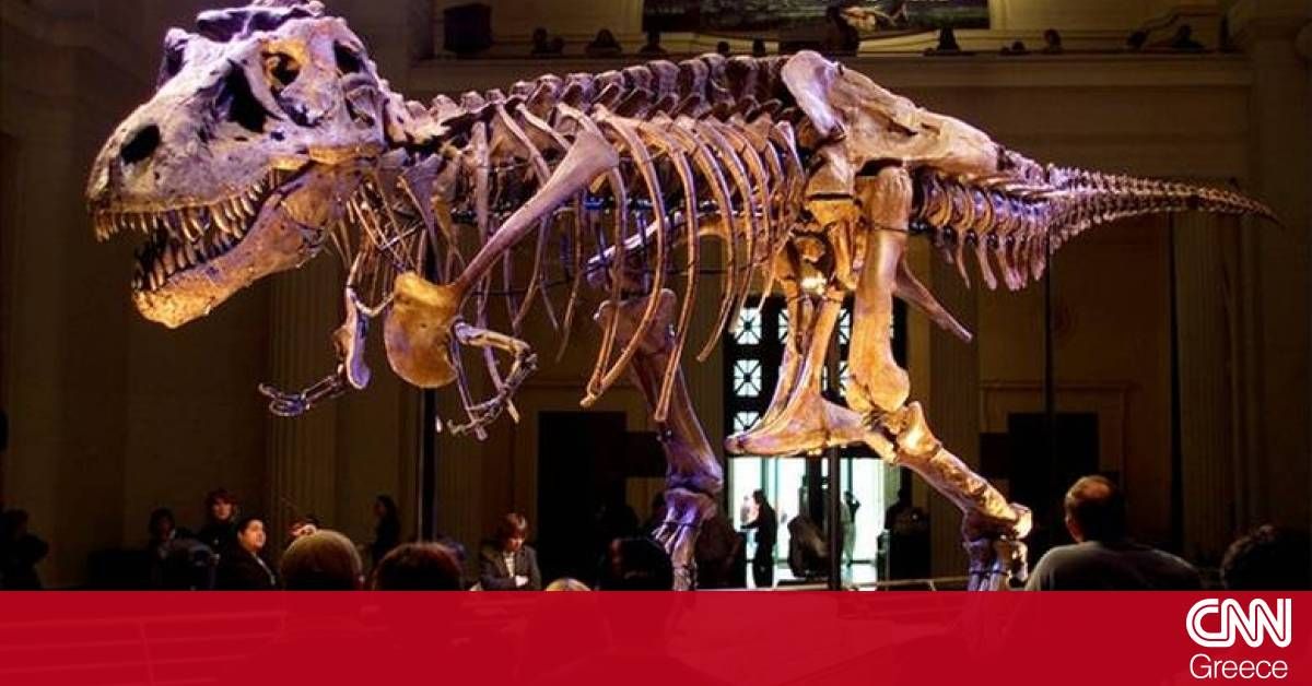 Οι πρώτοι δεινόσαυροι ζούσαν στη Βρετανία και ήταν παμφάγοι - CNN.gr