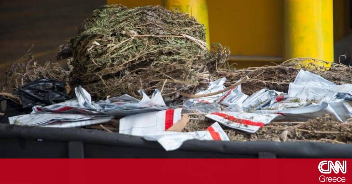Συνελήφθησαν τρεις αλλοδαποί για καλλιέργεια και διακίνηση ναρκωτικών ...