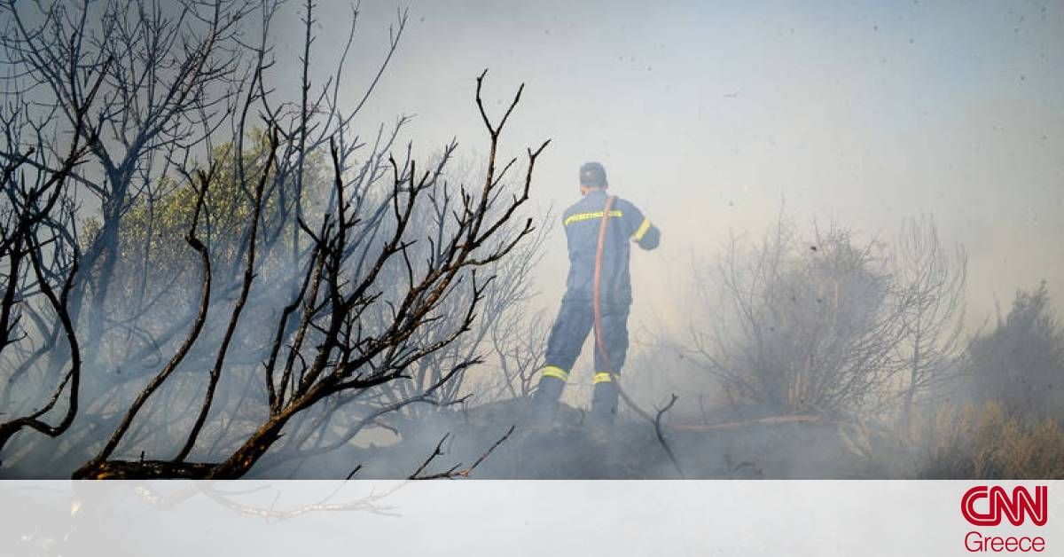 Σε επιφυλακή οι πυροσβεστικές δυνάμεις στην Ηλεία υπό τον φόβο νέων ...