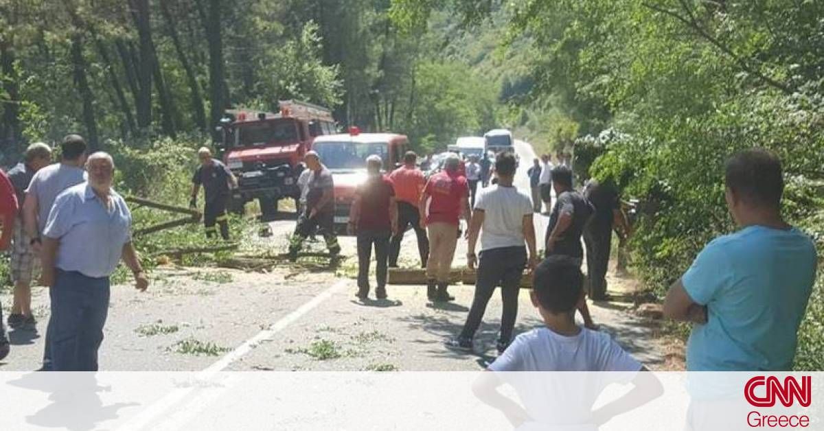 Ξάνθη: Δέντρο «προσγειώθηκε» σε όχημα... εν κινήσει - CNN.gr