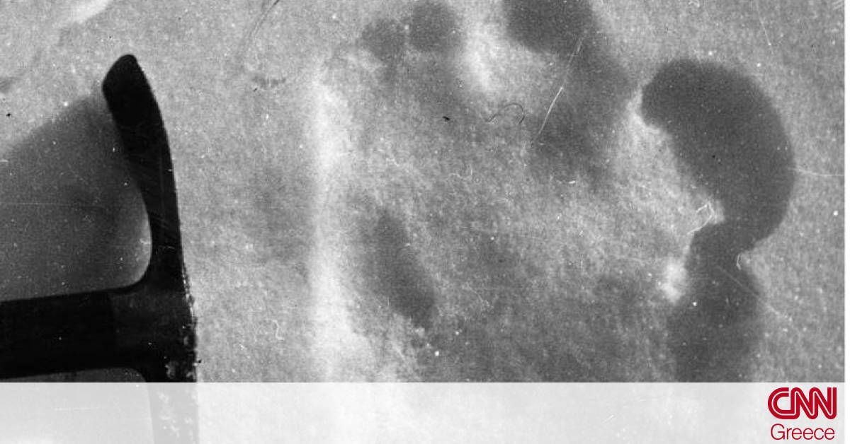 Η Επιστήμη έλυσε το μυστήριο με το θρυλικό Yeti ή «Χιονάνθρωπο των ...
