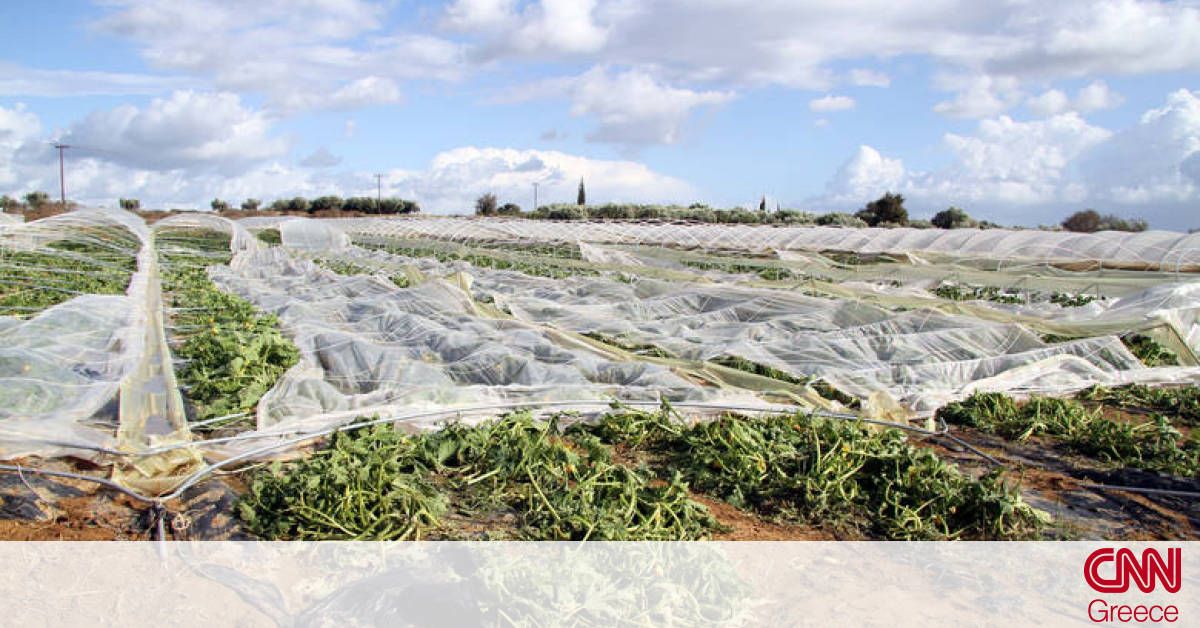ΕΛΓΑ: Σήμερα καταβάλλονται οι αποζημιώσεις σε αγρότες και κτηνοτρόφους ...