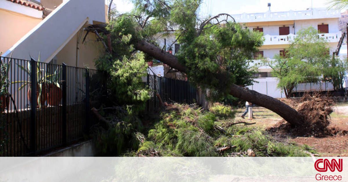 Υλικές ζημιές από ισχυρή ανεμοθύελλα στα Τρίκαλα Ημαθίας - CNN.gr