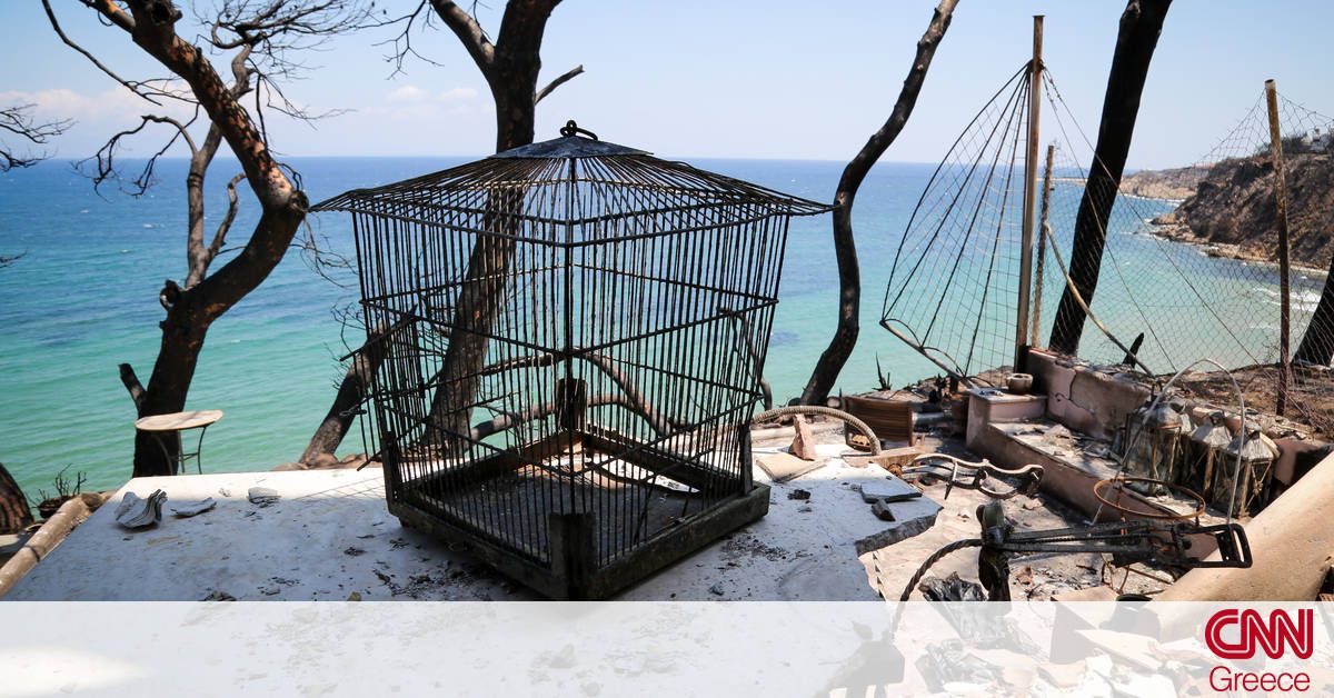 Οι φόροι που μπορούν να καταβάλουν ως το τέλος Οκτωβρίου οι πυρόπληκτοι ...