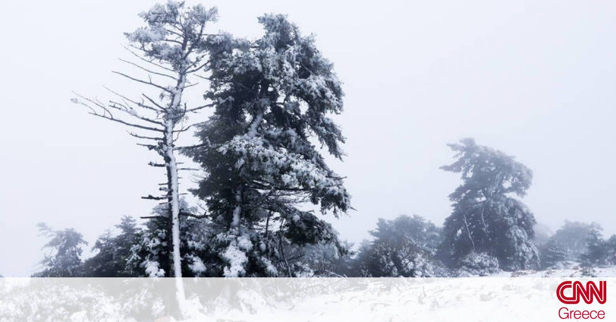 Καιρός: Χιονίζει στην Πάρνηθα - Δείτε LIVE εικόνα - CNN.gr