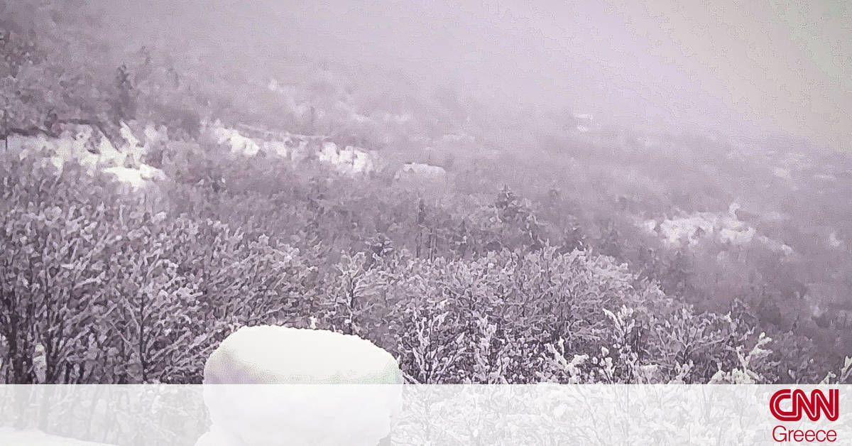 Καιρός: Πυκνή χιονόπτωση στον Παρνασσό - Πάνω από 20 εκατοστά το χιόνι ...