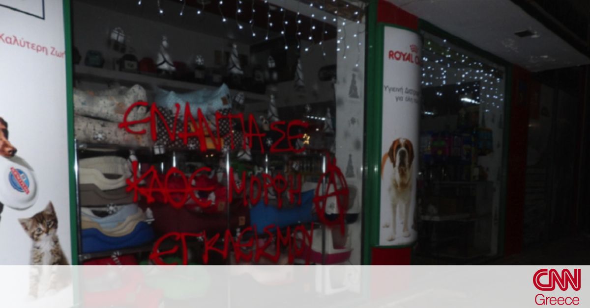 Θεσσαλονίκη: Επίθεση αντιεξουσιαστών σε pet shop για τα τζάγκουαρ του ...