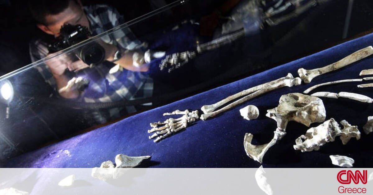 Το οικογενειακό δέντρο της ανθρωπότητας αποκαλύπτεται: «Μίλησαν» τα ...