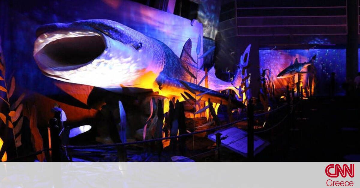 Δεινόσαυροι και προϊστορικά τέρατα των θαλασσών στον «Ελληνικό Κόσμο ...