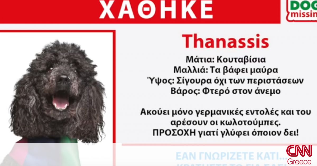 Ευρωεκλογές 2019: «Amber alert» για τον Thanassis από τους ΑΝΕΛ – Το ...