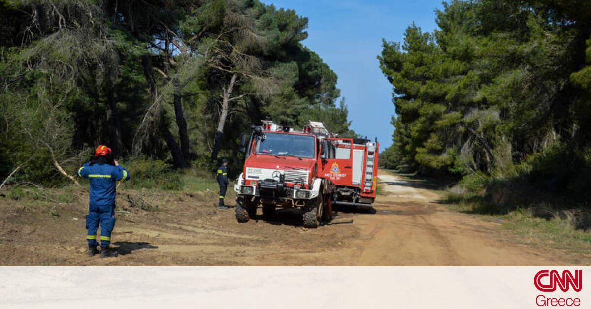 Καλάβρυτα: Φωτιά στην περιοχή του Πεύκου - CNN.gr