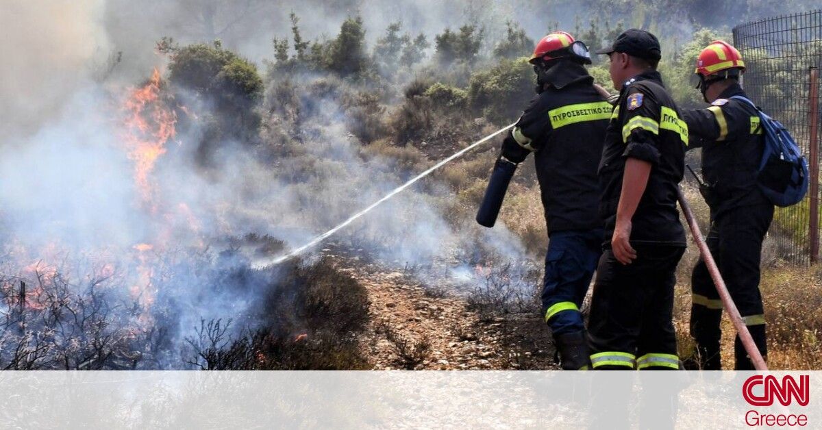 Φωτιά σε δασική έκταση στην Ηλεία - CNN.gr