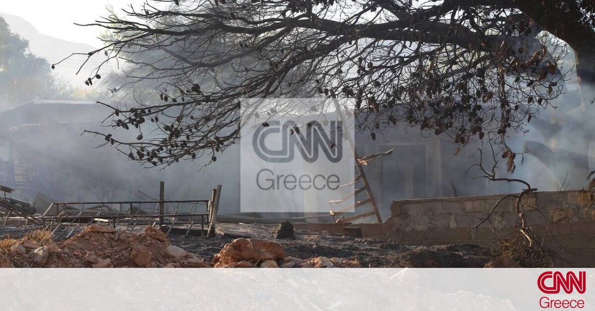 Πατούλης στο CNN Greece: Κρίσιμες οι επόμενες ώρες για την εξέλιξη της ...