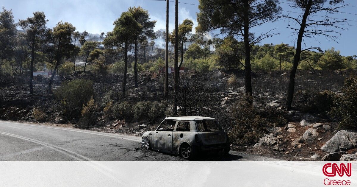Ξεκινούν οι αιτήσεις των πληγέντων από την πυρκαγιά στους Δήμους ...