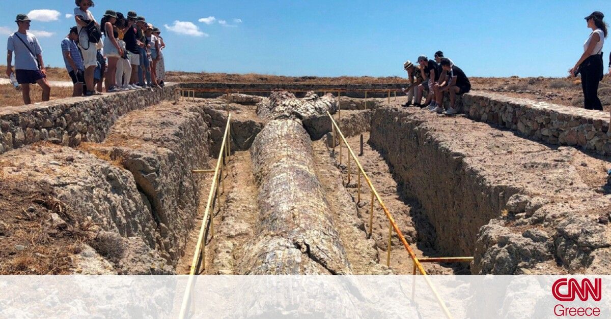Μυτιλήνη: Τι μαρτυρούν οι περίπου 50 απολιθωμένοι κορμοί δέντρων που ...