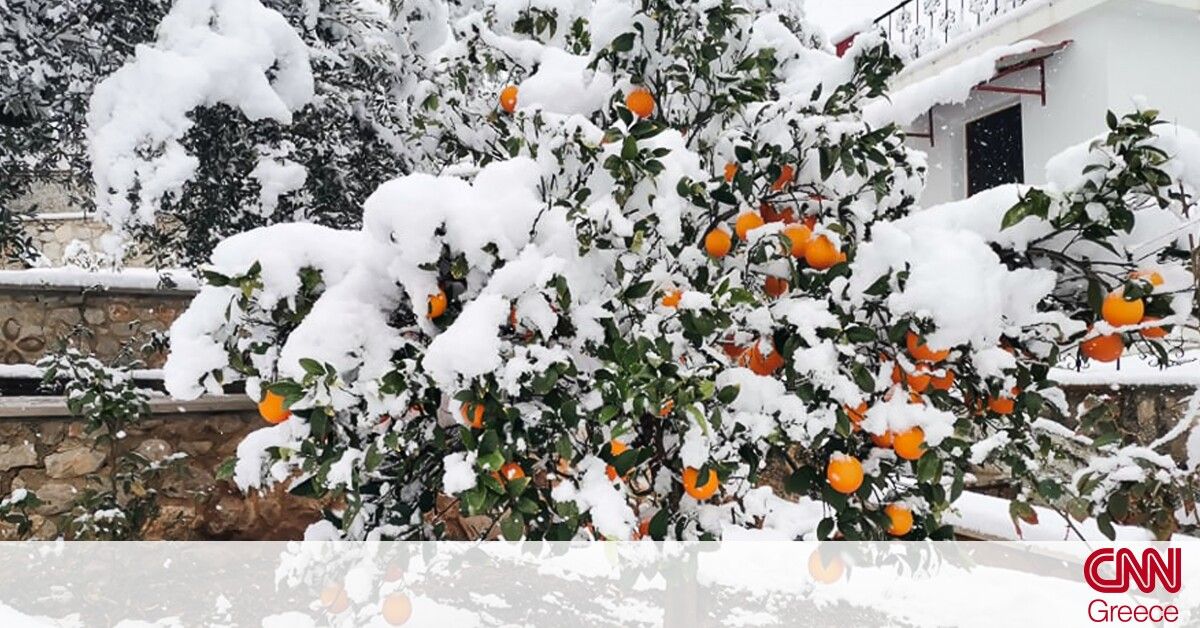 Κακοκαιρία: Καταφθάνει η «Μήδεια» - Από πού αρχίζουν οι χιονοπτώσεις ...