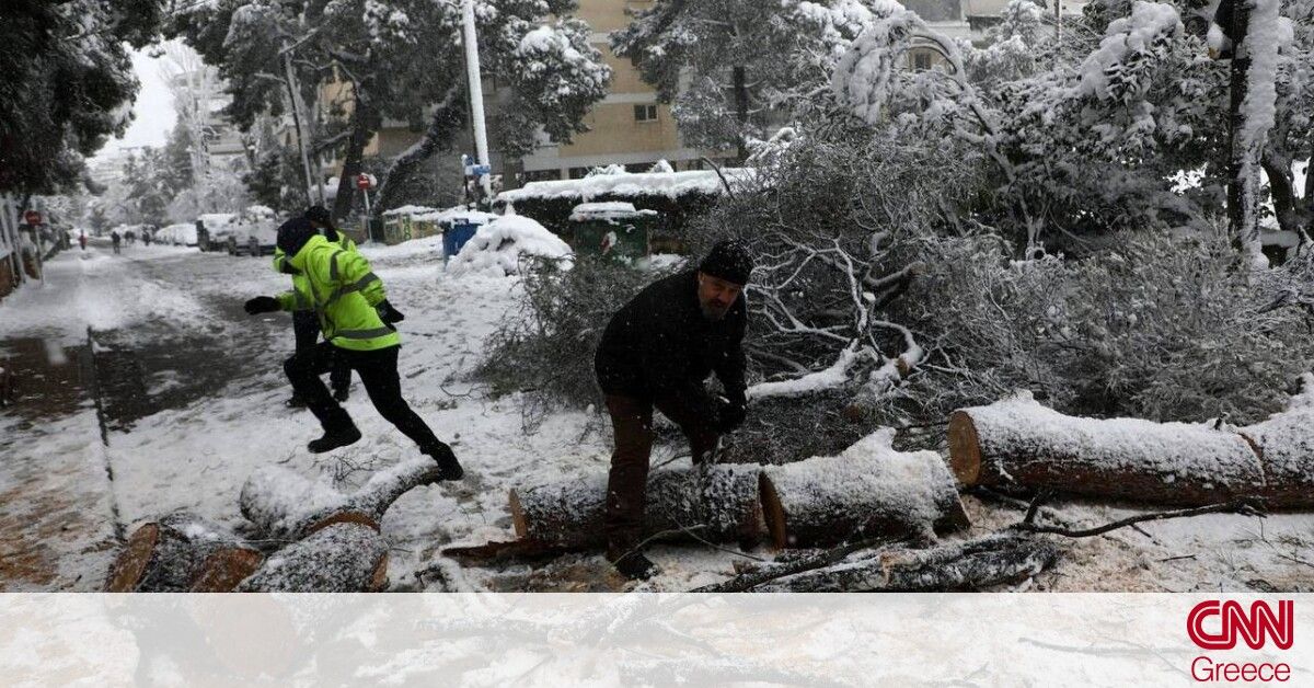 Νεκρός 71χρονος στην Εύβοια από δένδρο που τον καταπλάκωσε - CNN.gr