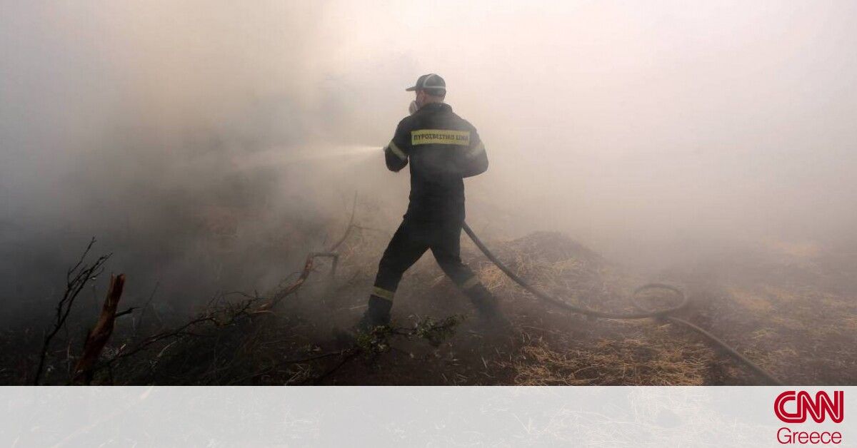 Σε εξέλιξη αυτή την ώρα πυρκαγιά στην Εύβοια - CNN.gr
