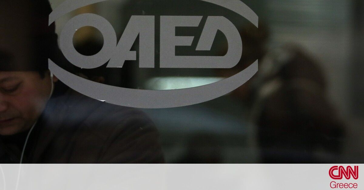 Διοικητής ΟΑΕΔ: Επιδοτούμενα προγράμματα για 42.600 θέσεις εργασίας ...