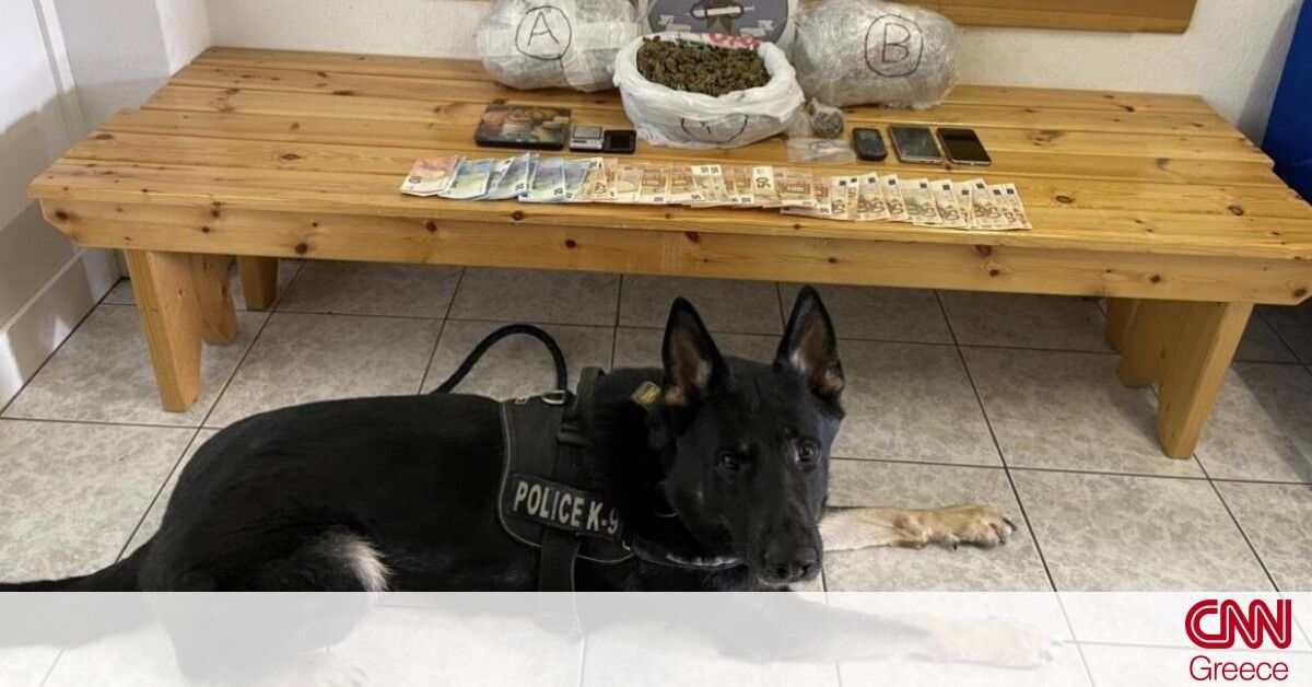 Θεσσαλονίκη: Ο αστυνομικός σκύλος Ακύλας «μυρίστηκε» την κάνναβη που ...