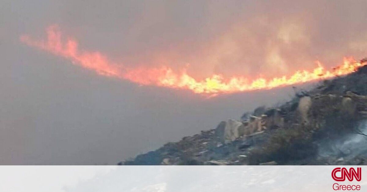 Φωτιά Άνδρος: Ενισχύονται οι πυροσβεστικές δυνάμεις - Κλιμάκιο της ΔΑΕΕ ...