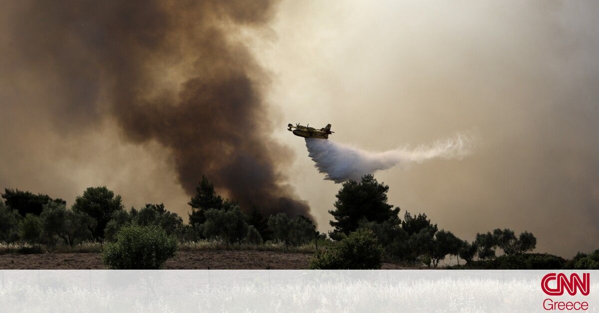 Πυρκαγιές: Οι περιοχές υψηλής επικινδυνότητας στην Αττική - CNN.gr