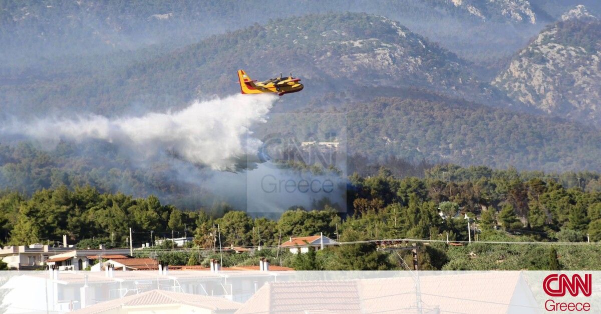 Φωτιά στον Σχίνο: Μάχη για τρίτη μέρα - Πολλές και μεγάλες οι ενεργές ...