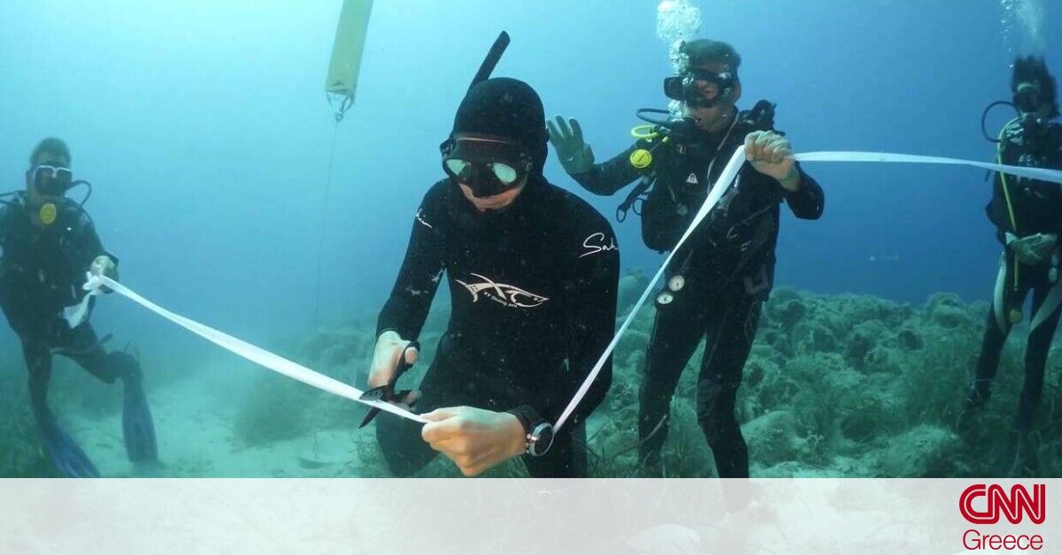 Την 1η Ιουνίου ανοίγει το πρώτο υποβρύχιο μουσείο της Ελλάδας, στην ...
