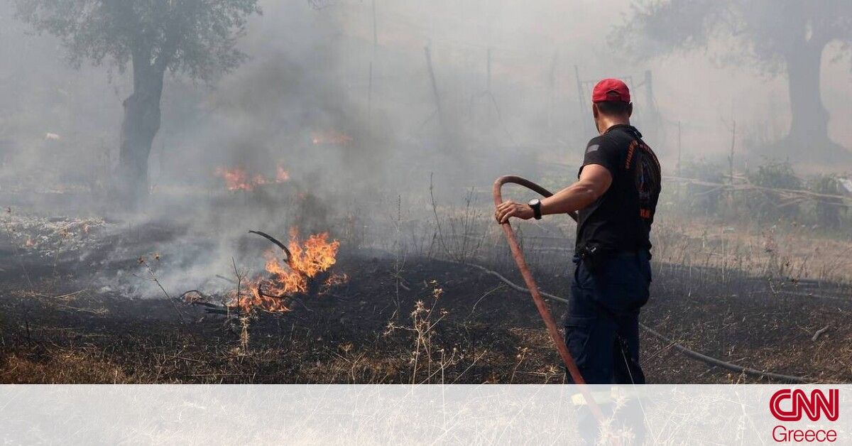 Συναγερμός στην Πυροσβεστική: Πυρκαγιά ξέσπασε στην Εύβοια - CNN.gr