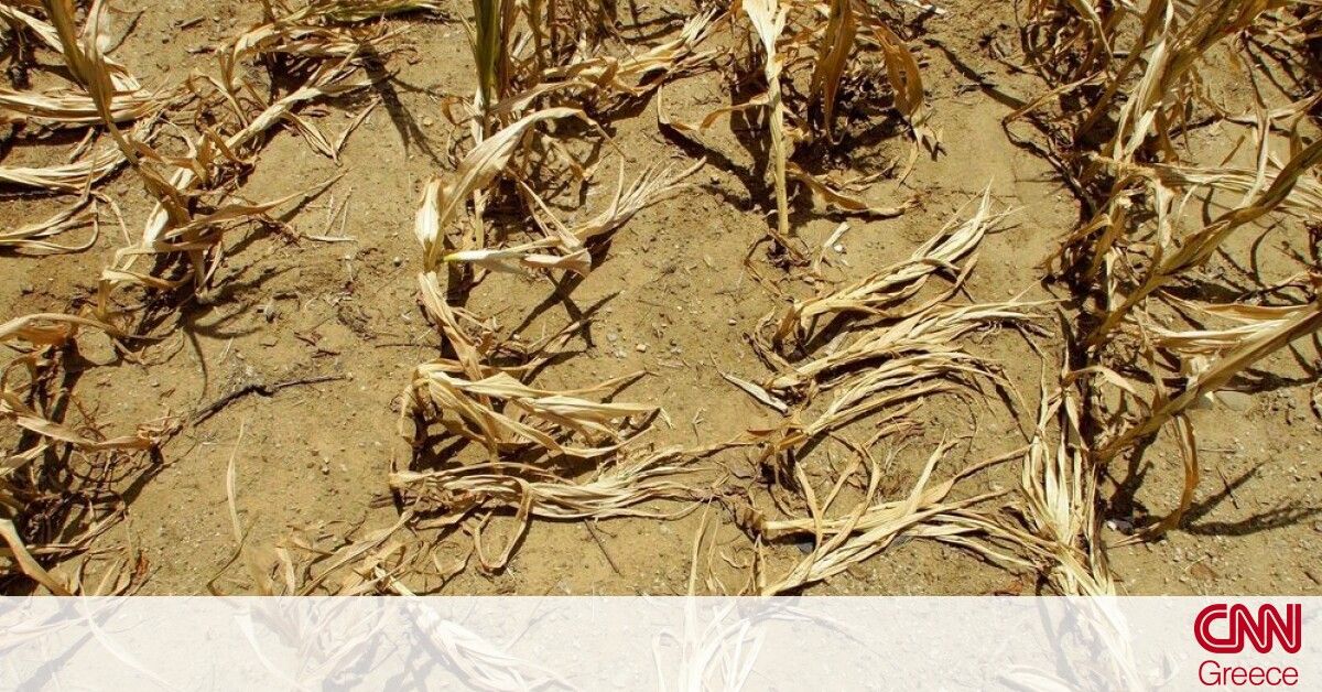 ΟΗΕ: Η ξηρασία μπορεί να είναι η επόμενη πανδημία - CNN.gr