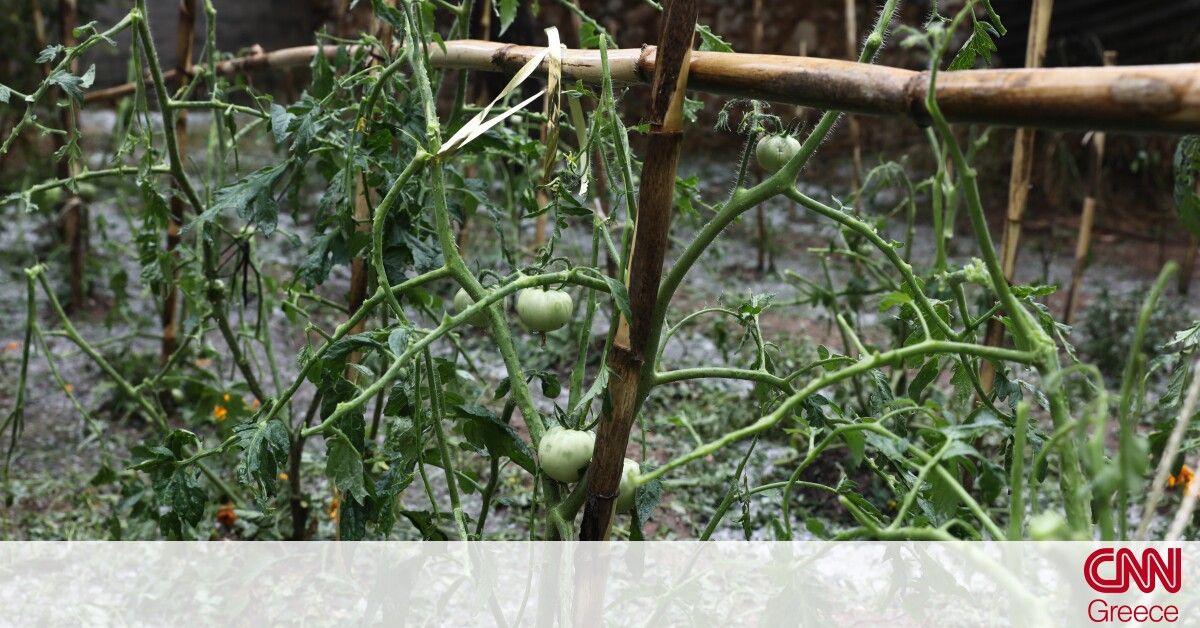 Η κακοκαιρία «σάρωσε» Τρίκαλα και Καρδίτσα: Σοβαρές ζημιές σε ...