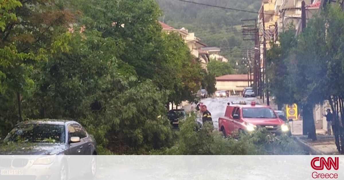 Φλώρινα: Ζημιές στις καλλιέργειες και προβλήματα από την ισχυρή ...