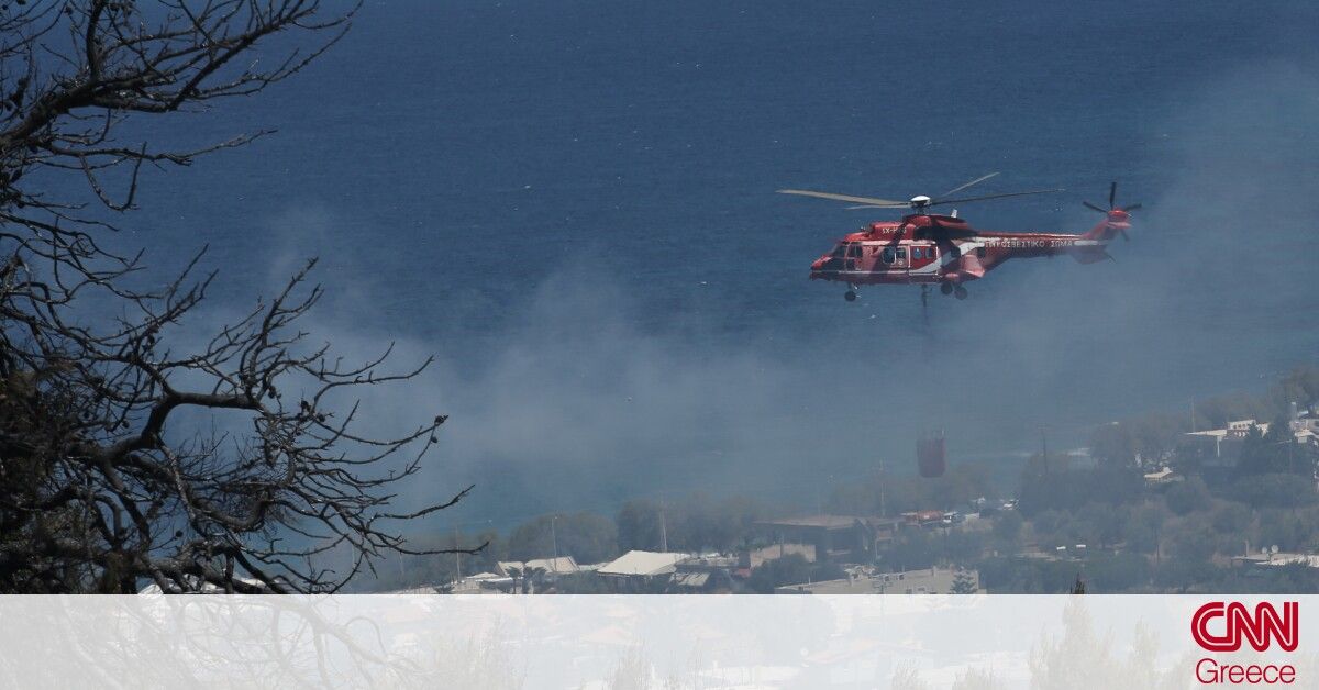 Φωτιά σε δασική έκταση στην Κεφαλονιά - CNN.gr