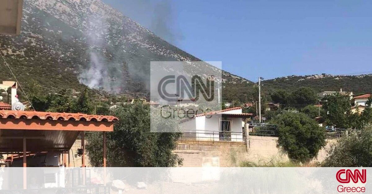 Σε ύφεση η φωτιά στην Αλυκή Θήβας - CNN.gr
