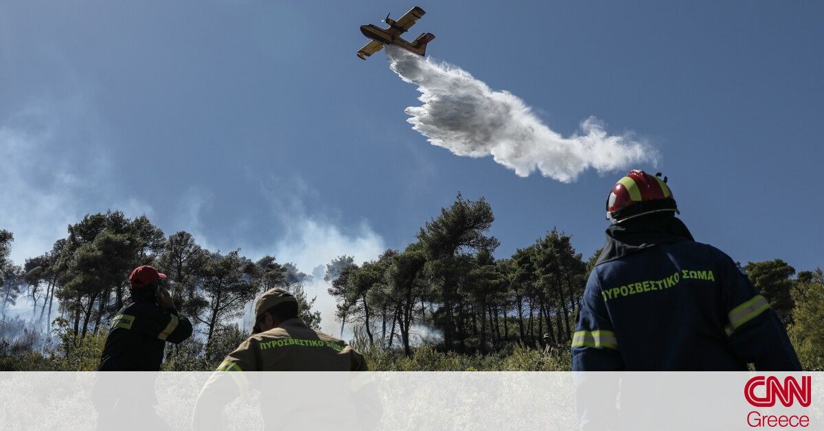 Χαλκιδική: Φωτιά μαίνεται από τα ξημερώματα - Ισχυρές δυνάμεις στην ...
