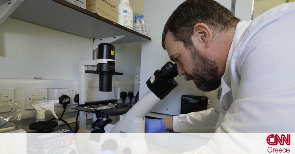 Έλληνας επιστήμονας πίσω από καινοτόμα θεραπεία για την Οξεία Μυελογενή ...