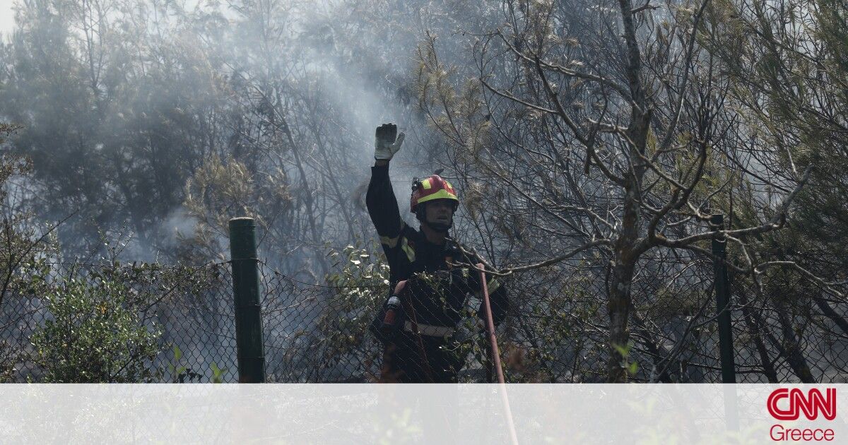 Πυρκαγιές: Περιορίστηκαν τα μέτωπα σε Εύβοια και Βαρνάβα - Ολονύχτια ...