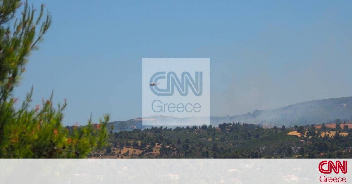 Συναγερμός στην πυροσβεστική - Φωτιά σε Βαρνάβα και Ελευσίνα - CNN.gr