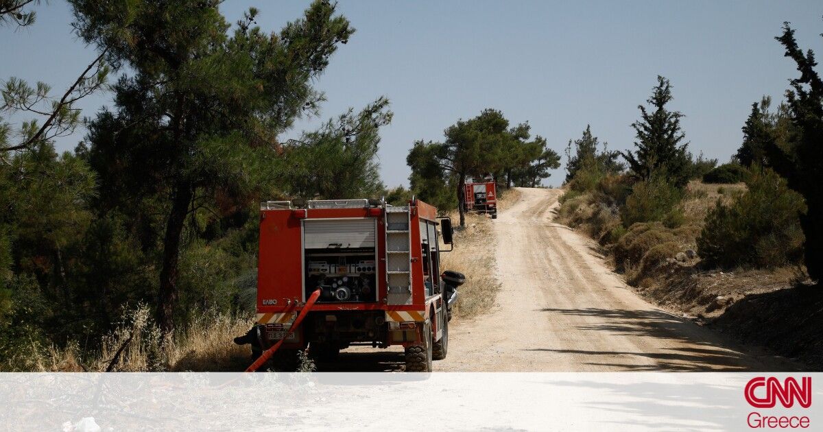 Πυρκαγιές: Υπό έλεγχο οι φωτιές σε Αυλώνα και Νεοχωρούδα - 52 φωτιές σε ...