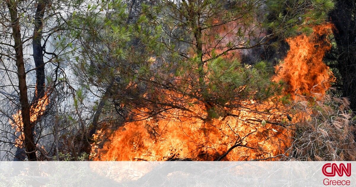 Πολύ υψηλός ο κίνδυνος πυρκαγιάς για την Τετάρτη σε αρκετές περιοχές ...