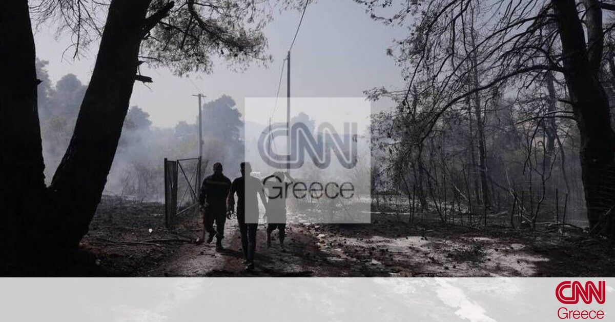 Φωτιά στη Σταμάτα: Εικόνες αγωνίας και καταστροφής - Σε αυλές σπιτιών ...