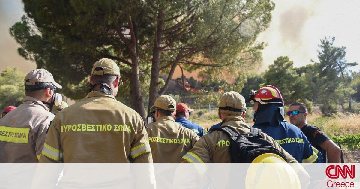 Φωτιά στην Αχαΐα: Στα πύρινα μέτωπα ο Νίκος Χαρδαλιάς - CNN.gr