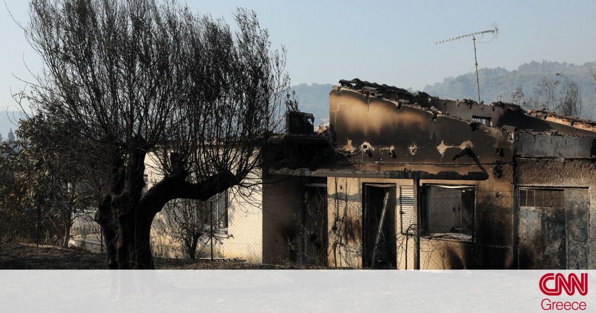 Χρυσοχοΐδης για φωτιά στην Αχαΐα: Κατορθώσαμε να μην λάβει μεγαλύτερες ...
