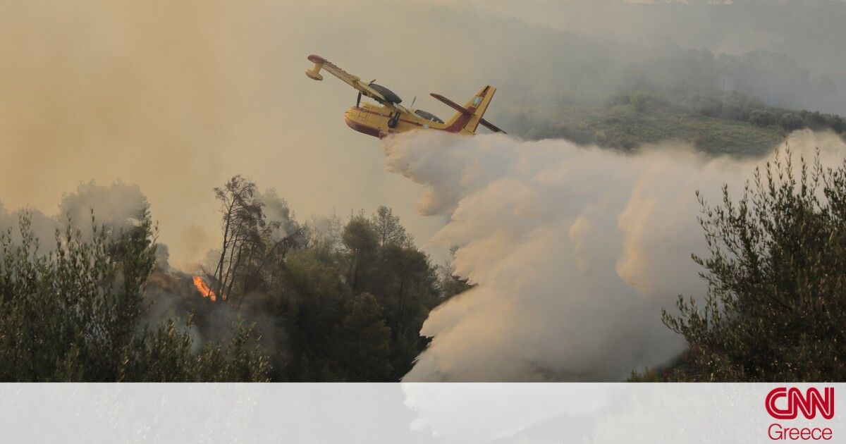 Φωτιά στην Αχαΐα: Μαίνεται το πύρινο μέτωπο - 16 τραυματίες, «στάχτη ...