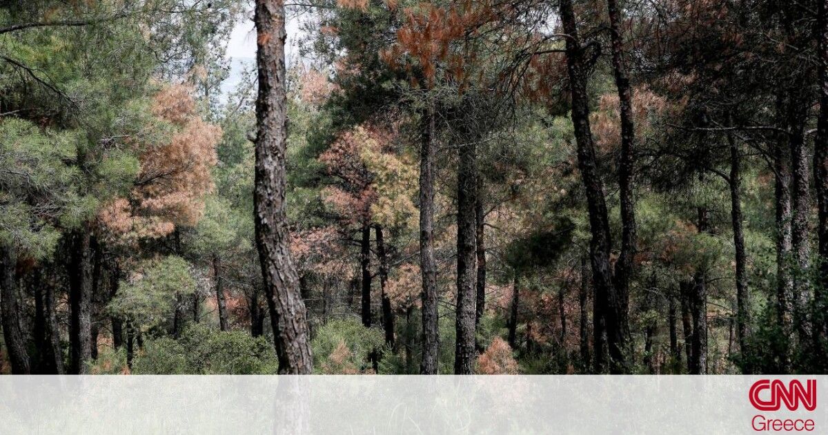Θεσσαλονίκη: Σε ισχύ μέχρι αύριο η απαγόρευση κυκλοφορίας στο Σέιχ Σου ...