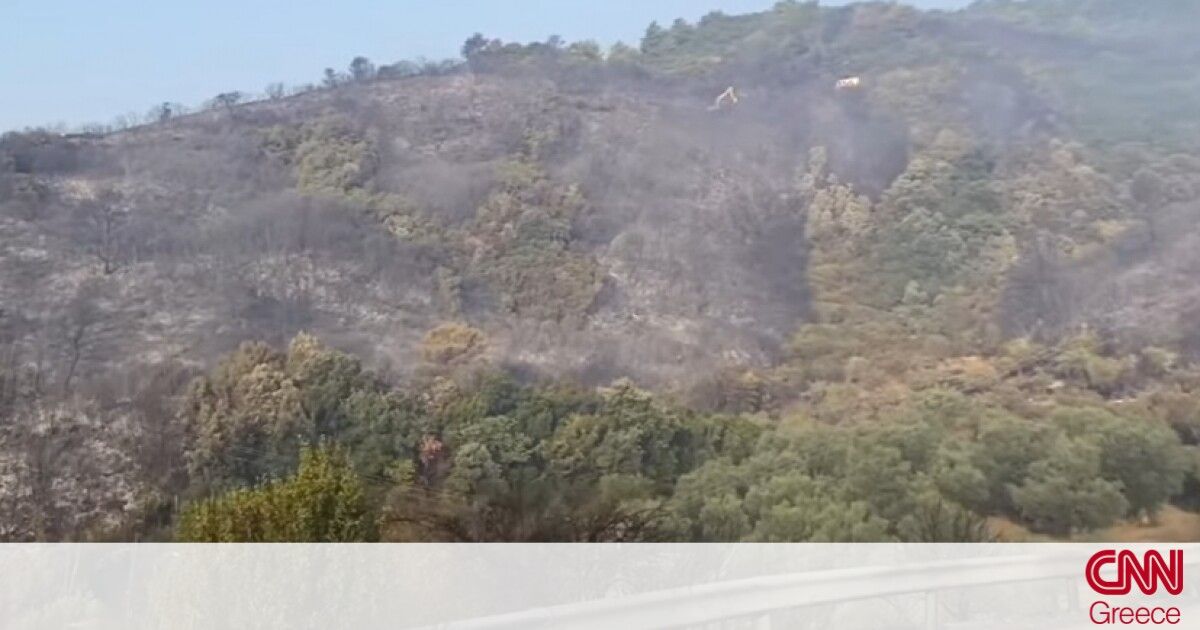 Φωτιά στην Αιτωλοακαρνανία: Χωρίς ρεύμα τρεις οικισμοί, εικόνες ...